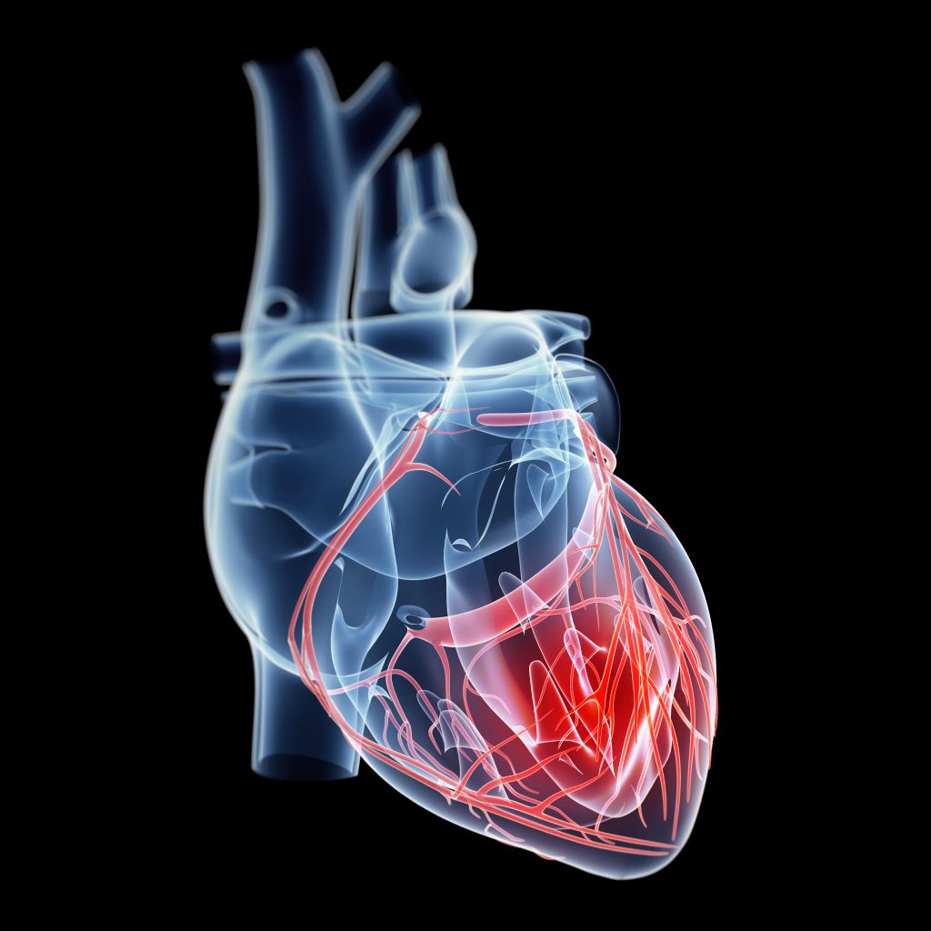 Matching Our Heartbeat to the Beat of the Universe – Scalar Heart ...